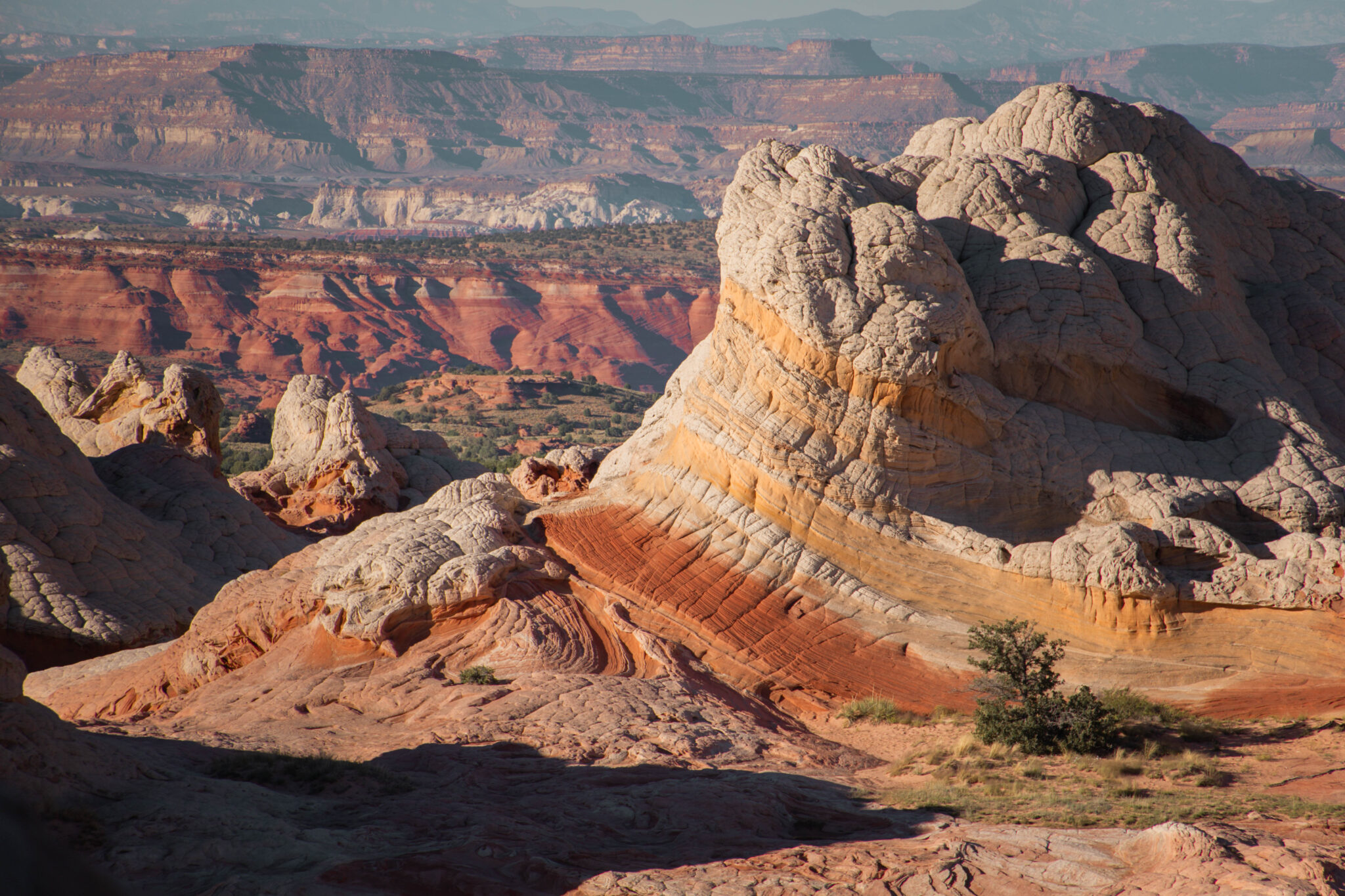 White Pocket Arizona: What You Need To Know Before You Go - Indigo Sahara