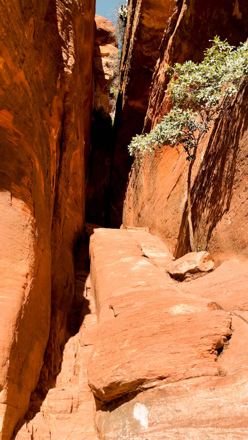How To Get To Subway Cave In Sedona Step-By-Step - Indigo Sahara