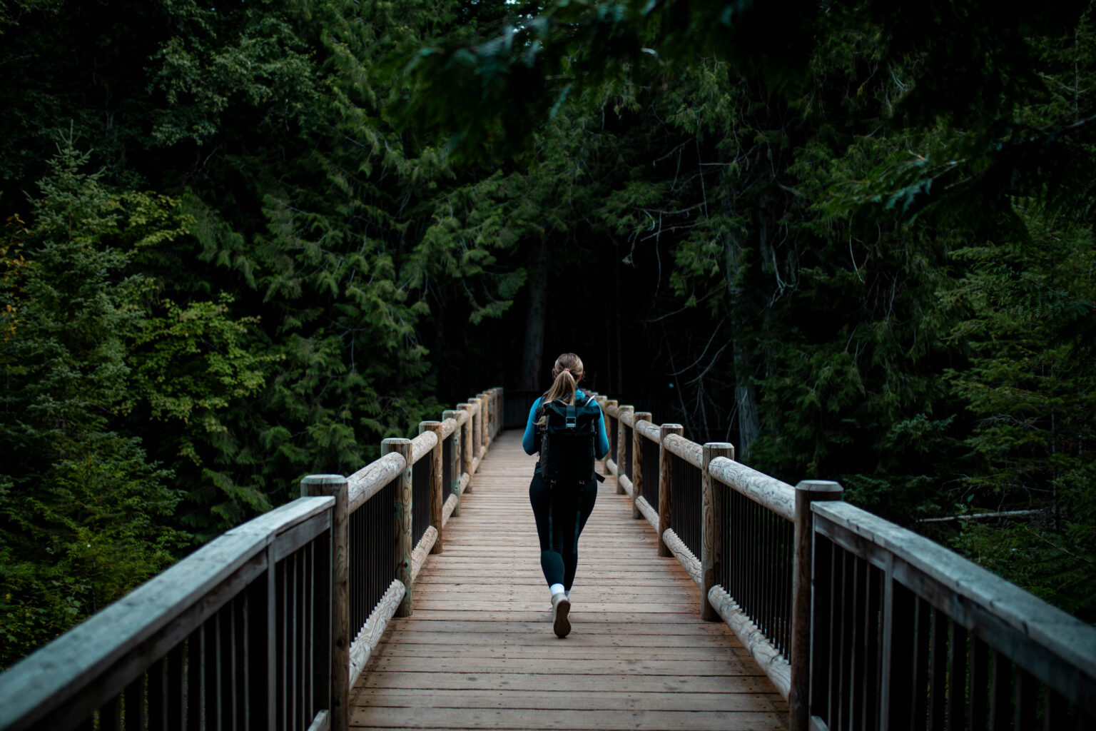 Driving Going-To-The-Sun Road: Everything You Need To Know - Indigo Sahara